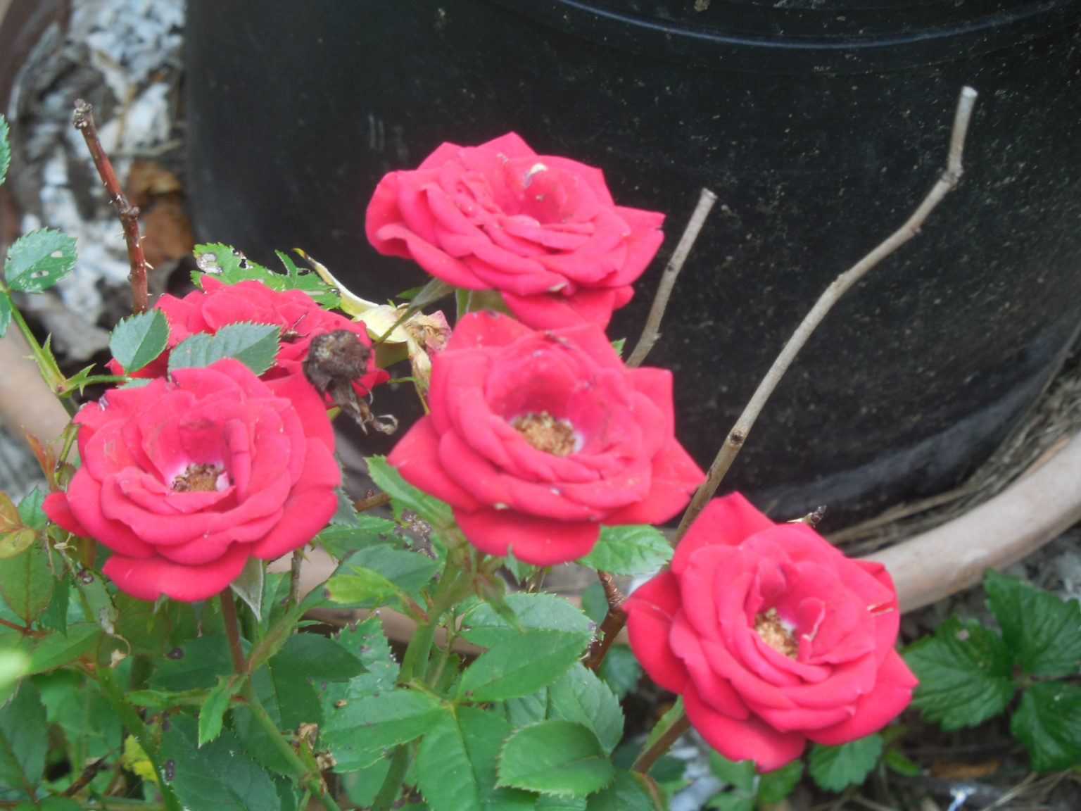 May 9 2022 Bible Study Things To Be Learned From Reading The